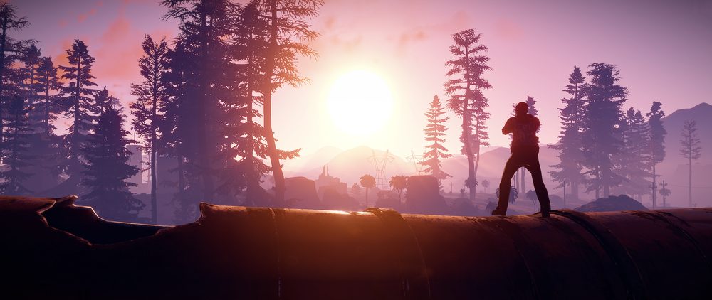 5 raisons de louer un serveur Rust - Oxygenserv